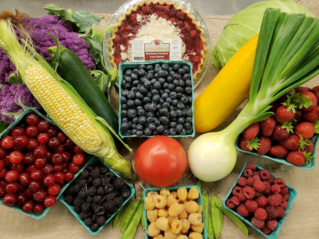 Harvest Schedule at Brecknock Orchard, Mohnton PA