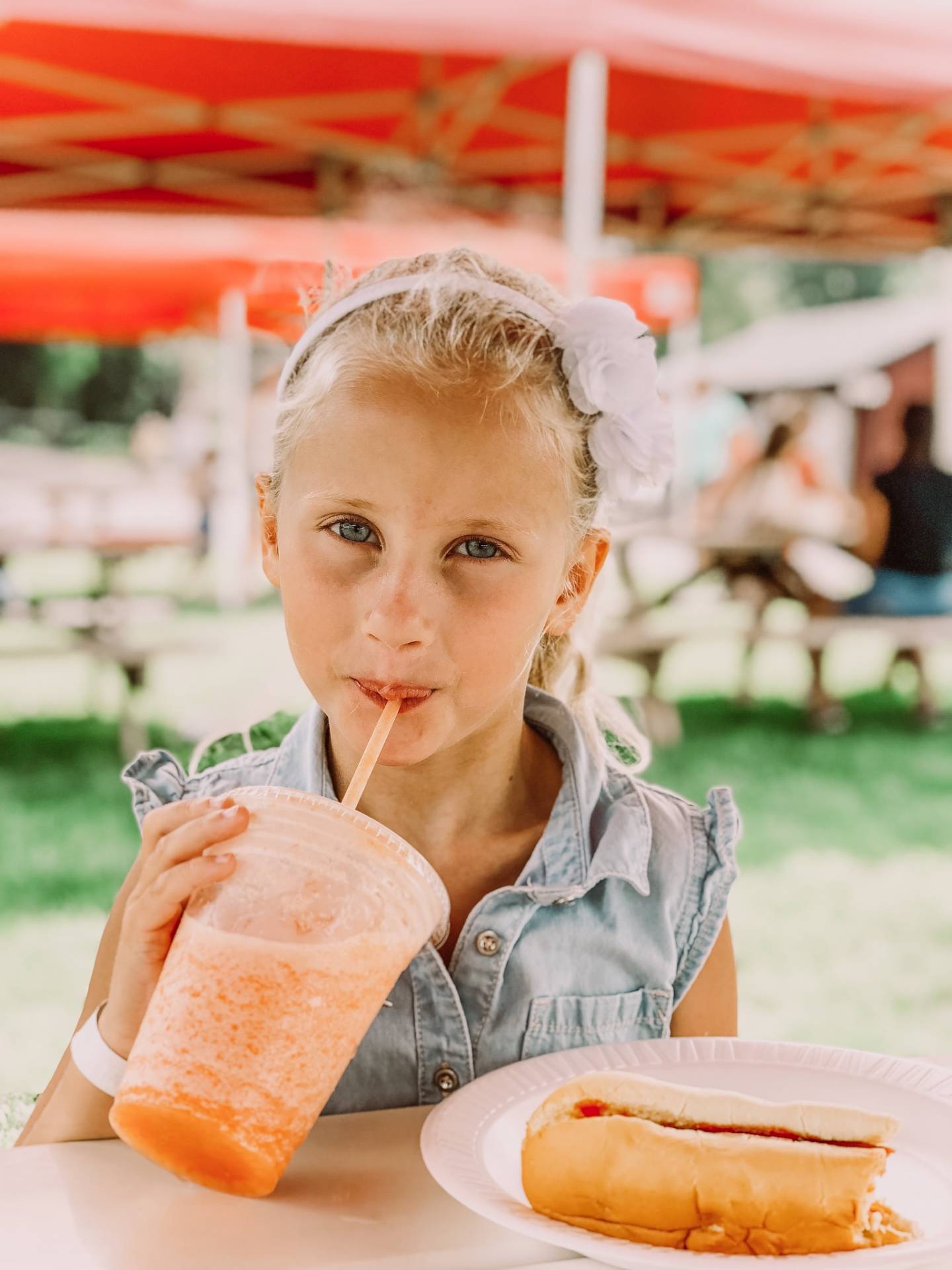 Festivals & Activities | Brecknock Orchard | Lancaster County PA