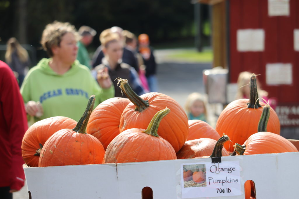 Festivals & Activities | Brecknock Orchard | Lancaster County PA