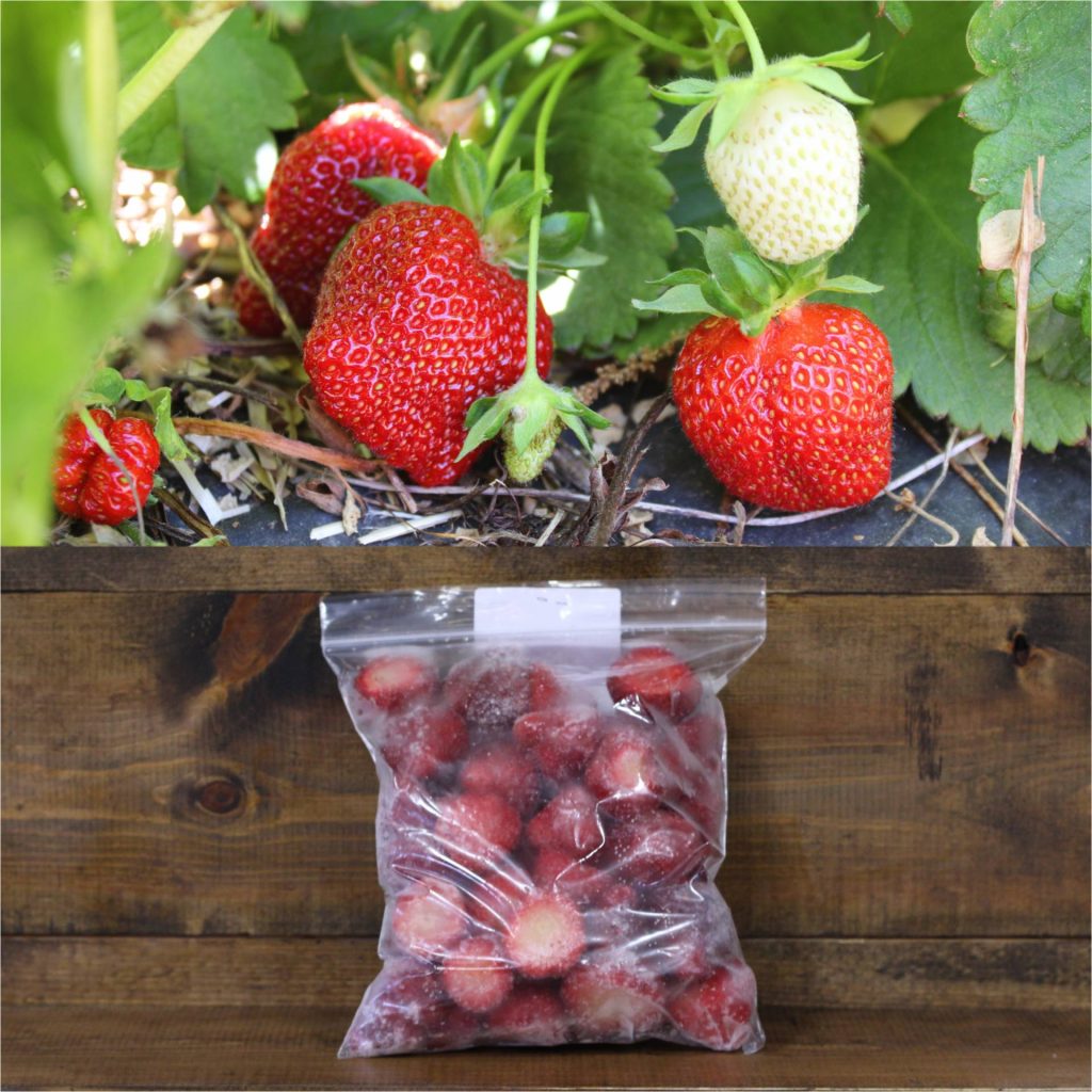 Frozen Black Raspberries - Brecknock Orchard LLC