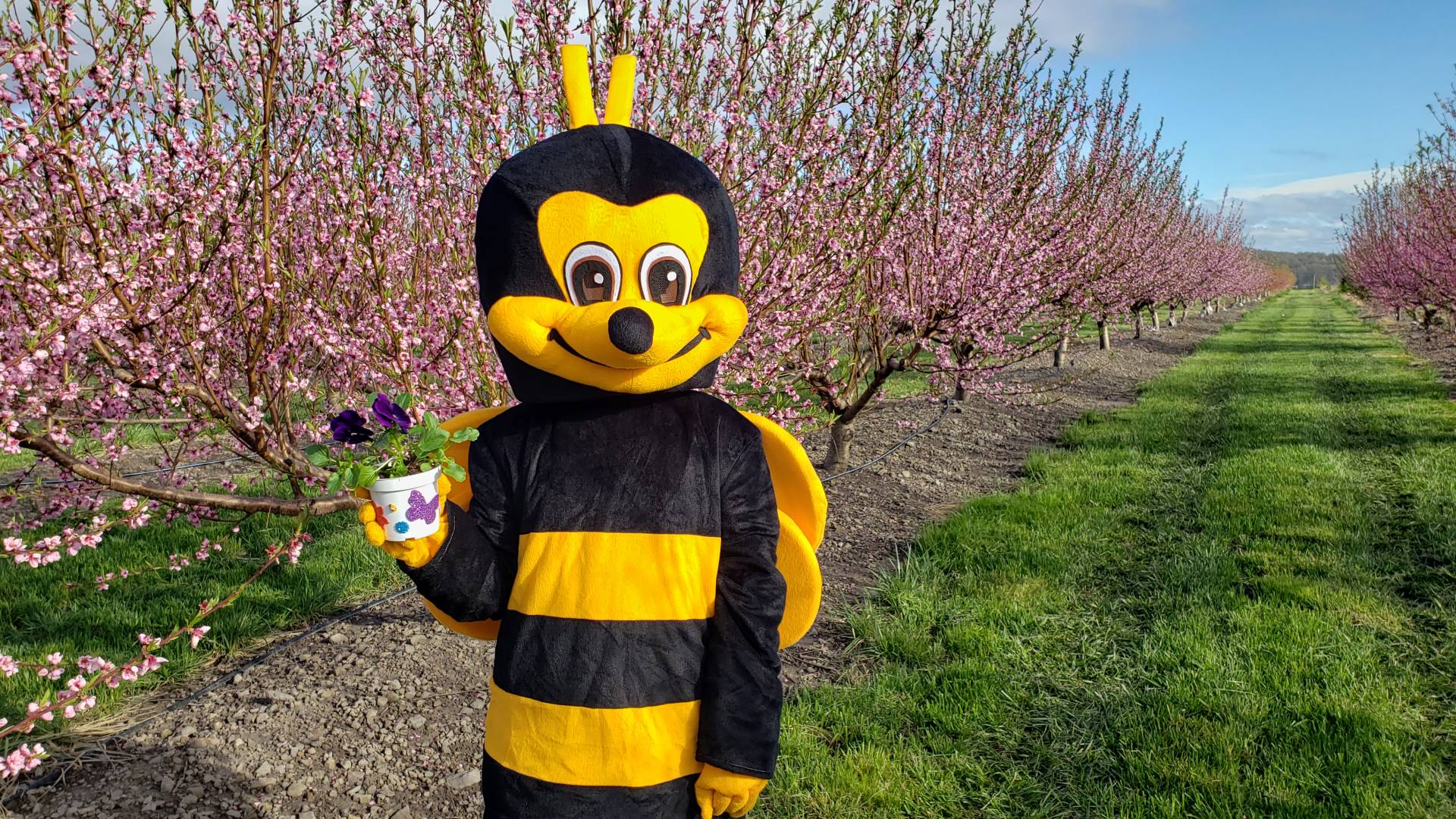 Festivals & Activities | Brecknock Orchard | Lancaster County PA