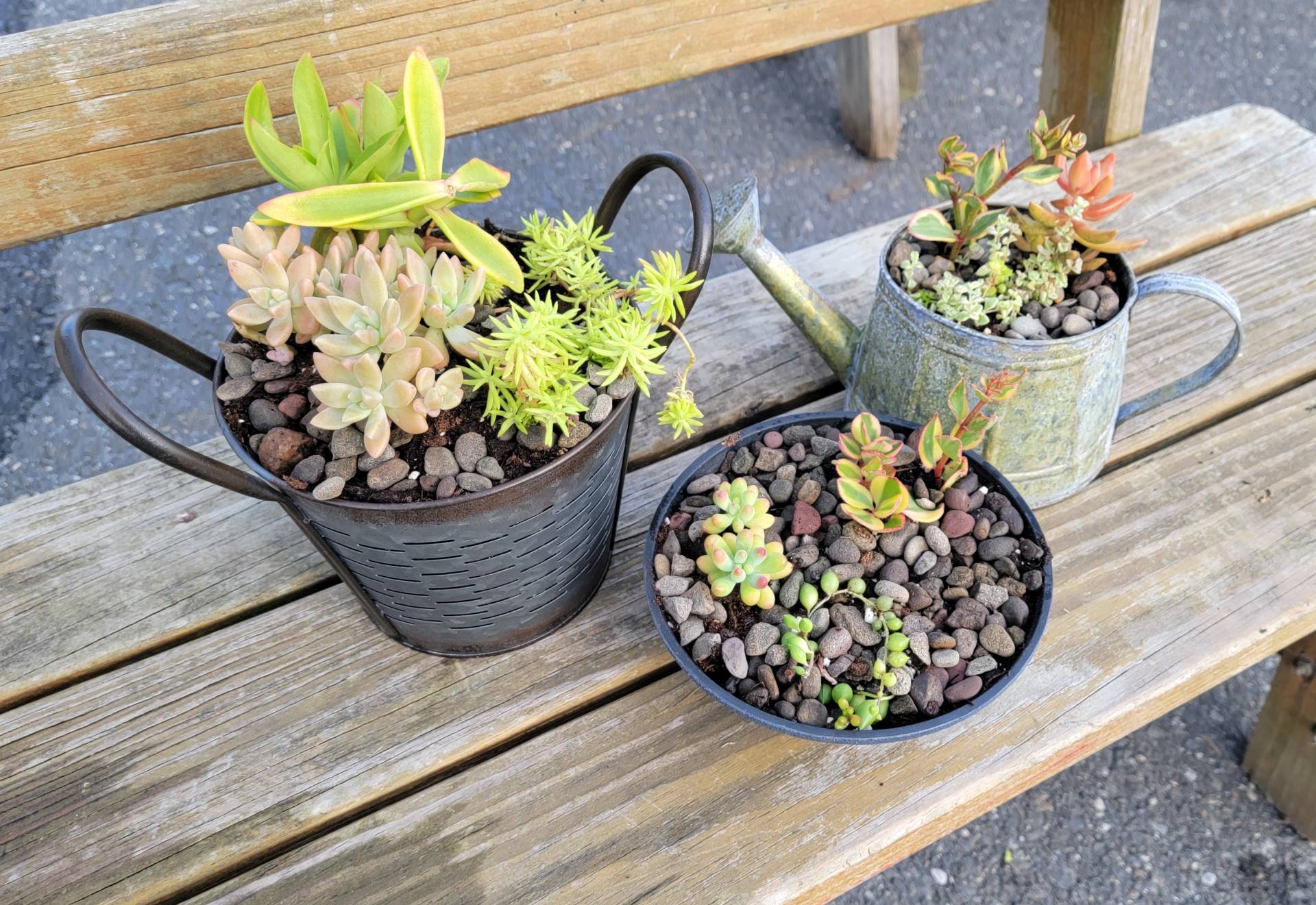 Festivals & Activities | Brecknock Orchard | Lancaster County PA