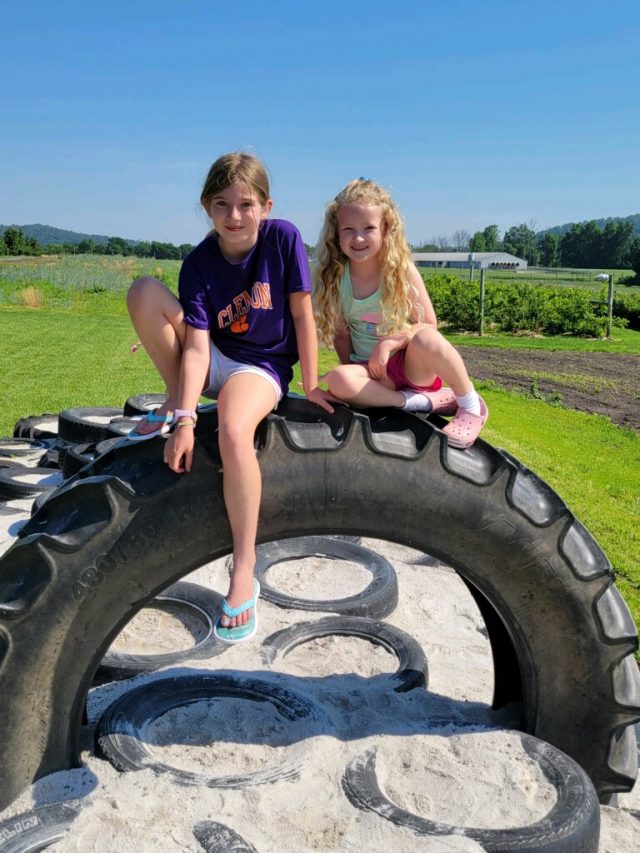 Festivals & Activities | Brecknock Orchard | Lancaster County PA