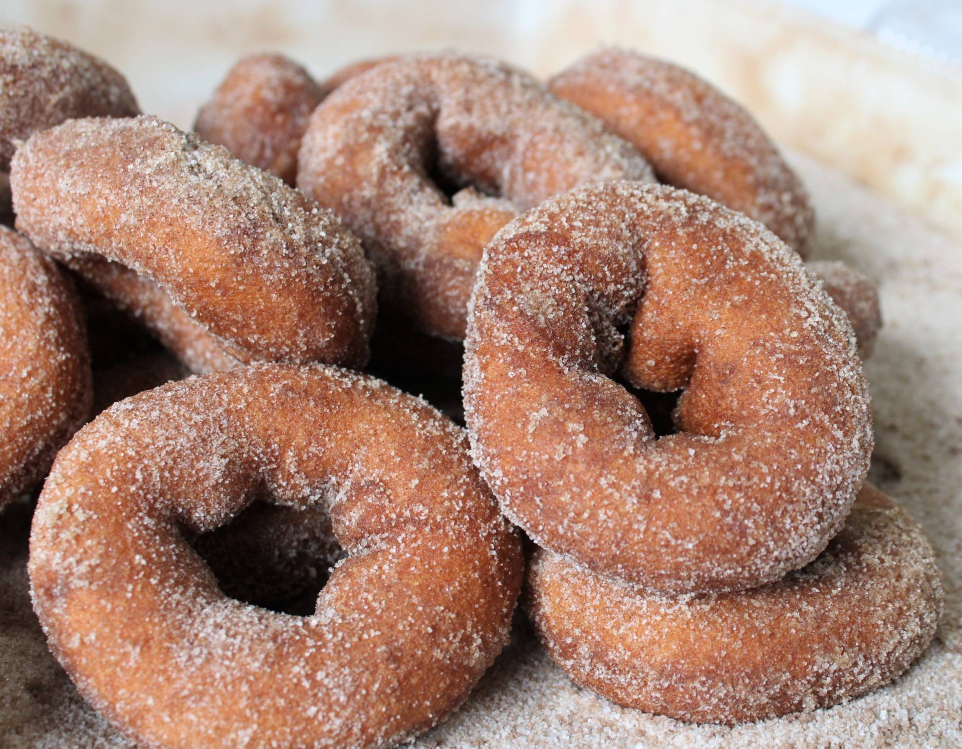 Festivals & Activities | Brecknock Orchard | Lancaster County PA