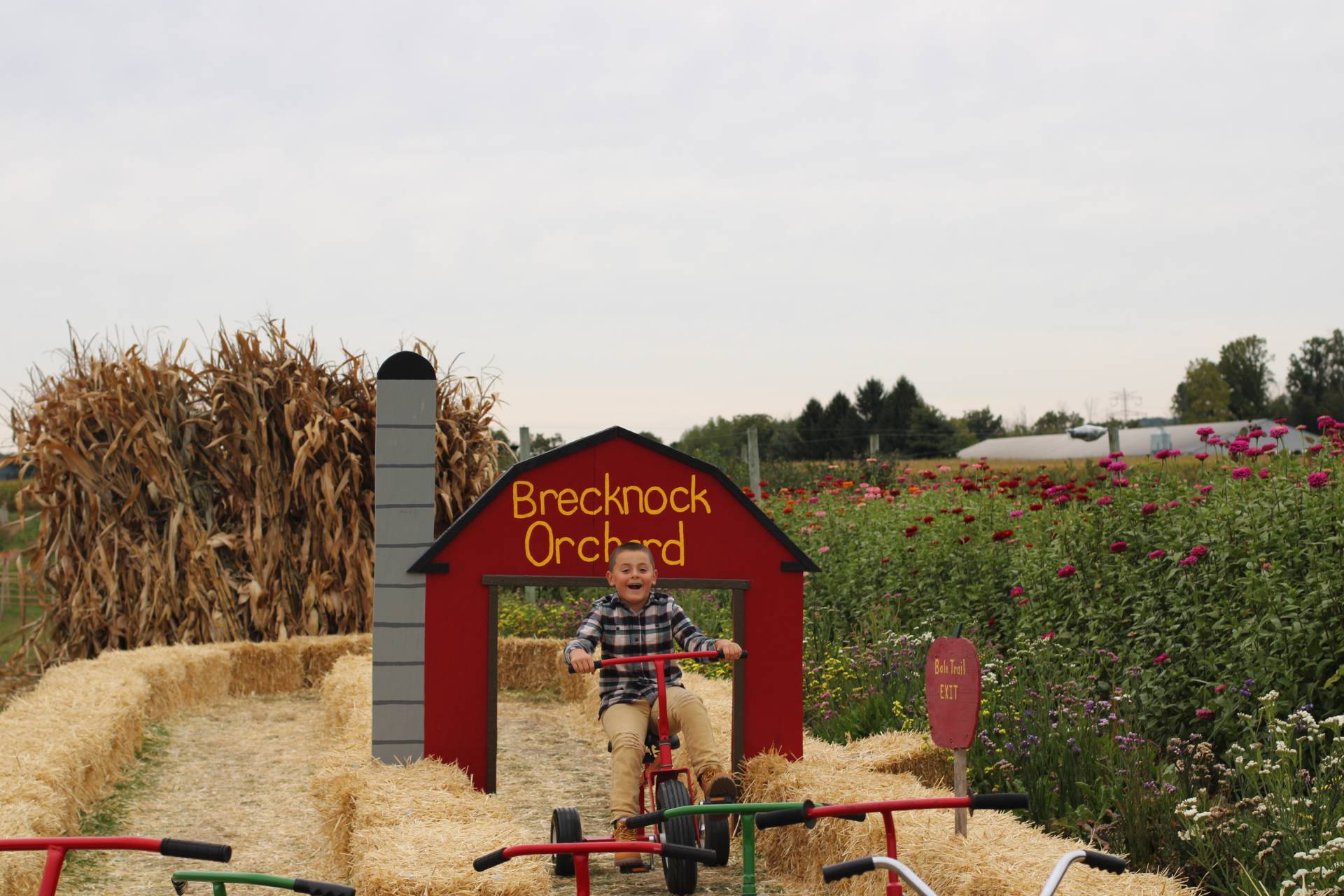 Festivals & Activities | Brecknock Orchard | Lancaster County PA