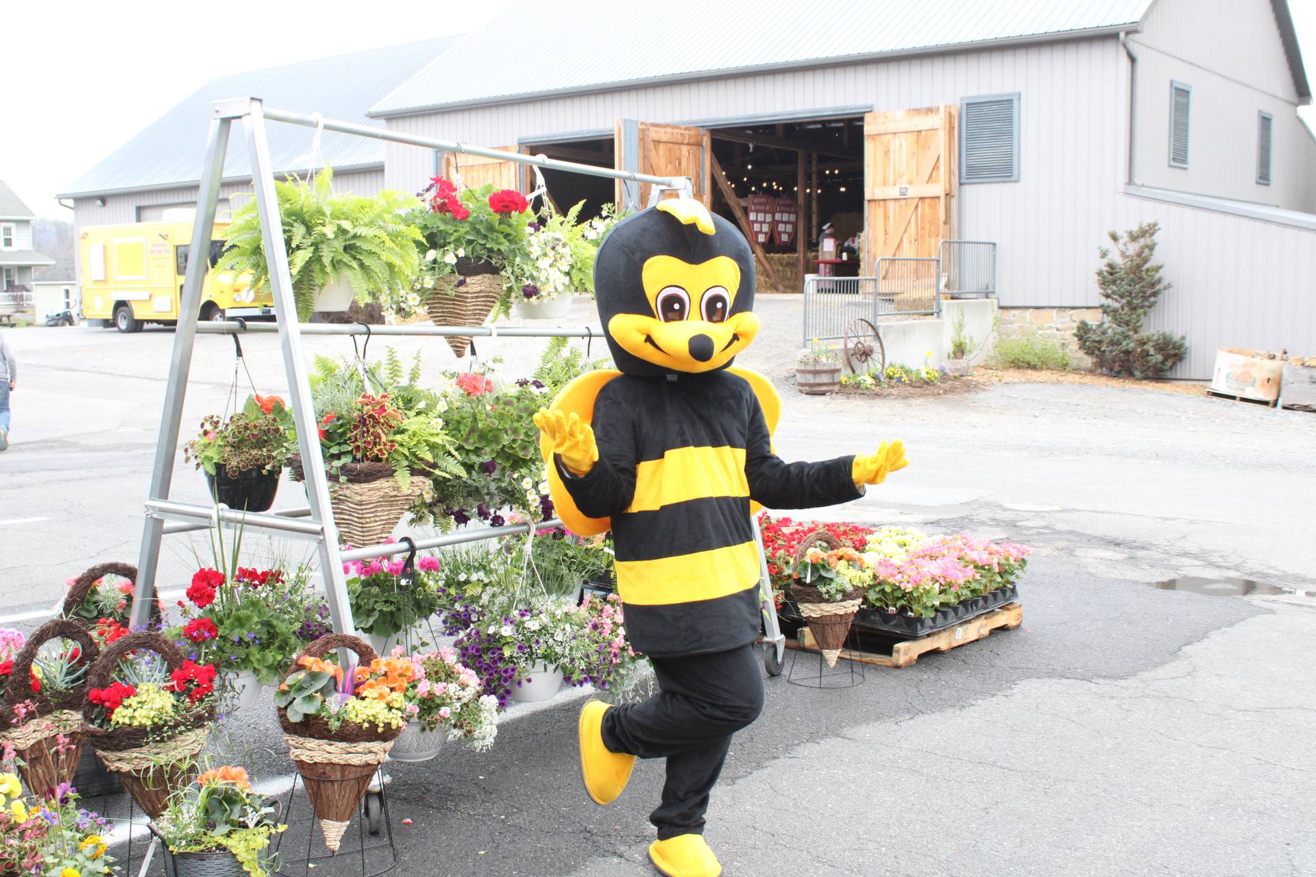 Festivals & Activities | Brecknock Orchard | Lancaster County PA