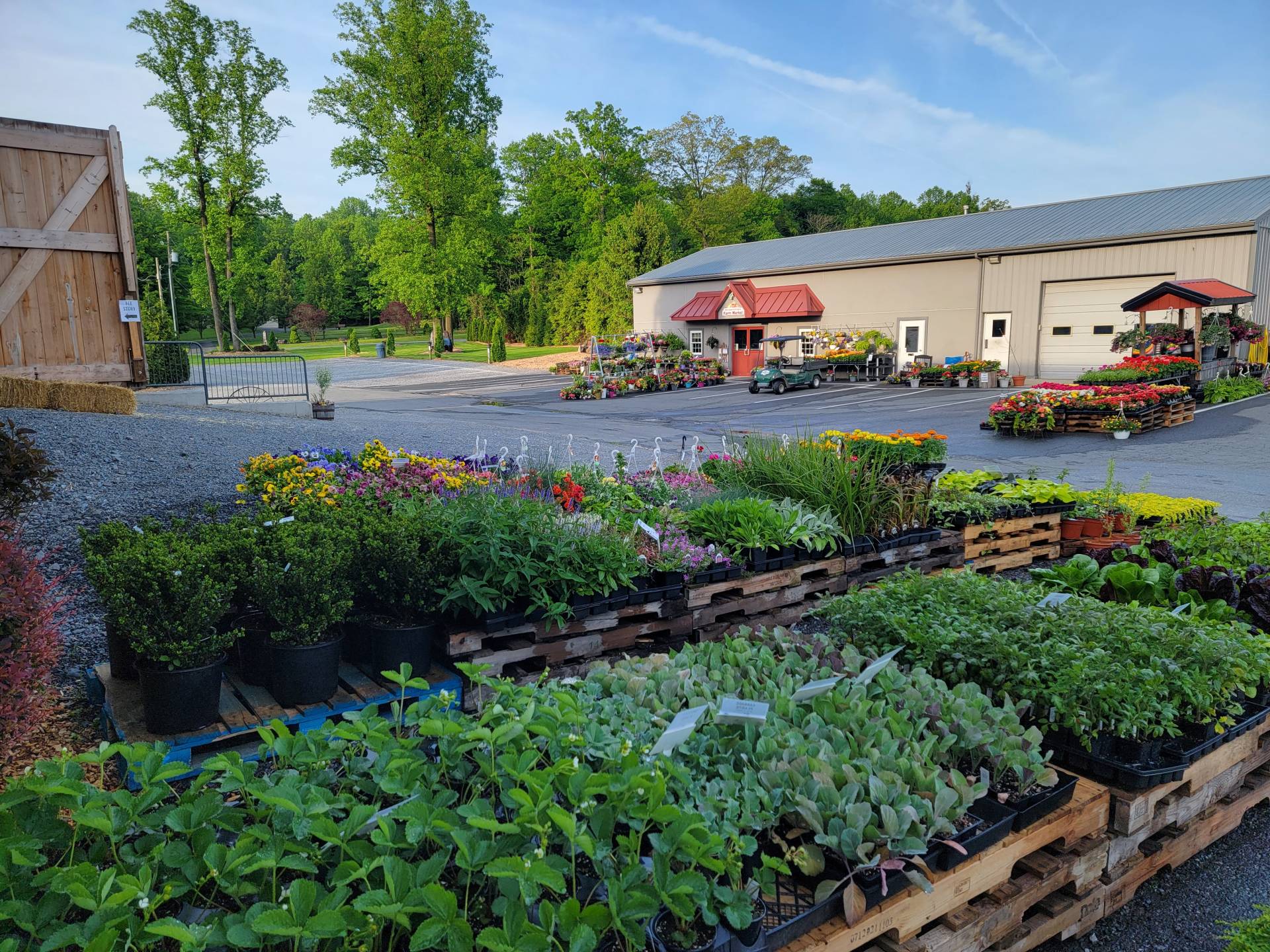 Summer Decorations - Brecknock Orchard LLC, Mohnton Lancaster County PA