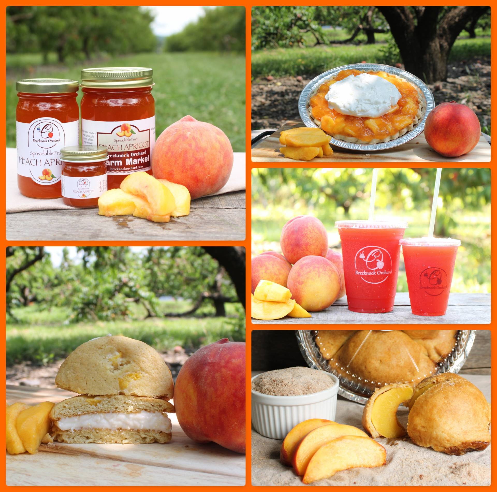 Festivals & Activities | Brecknock Orchard | Lancaster County PA