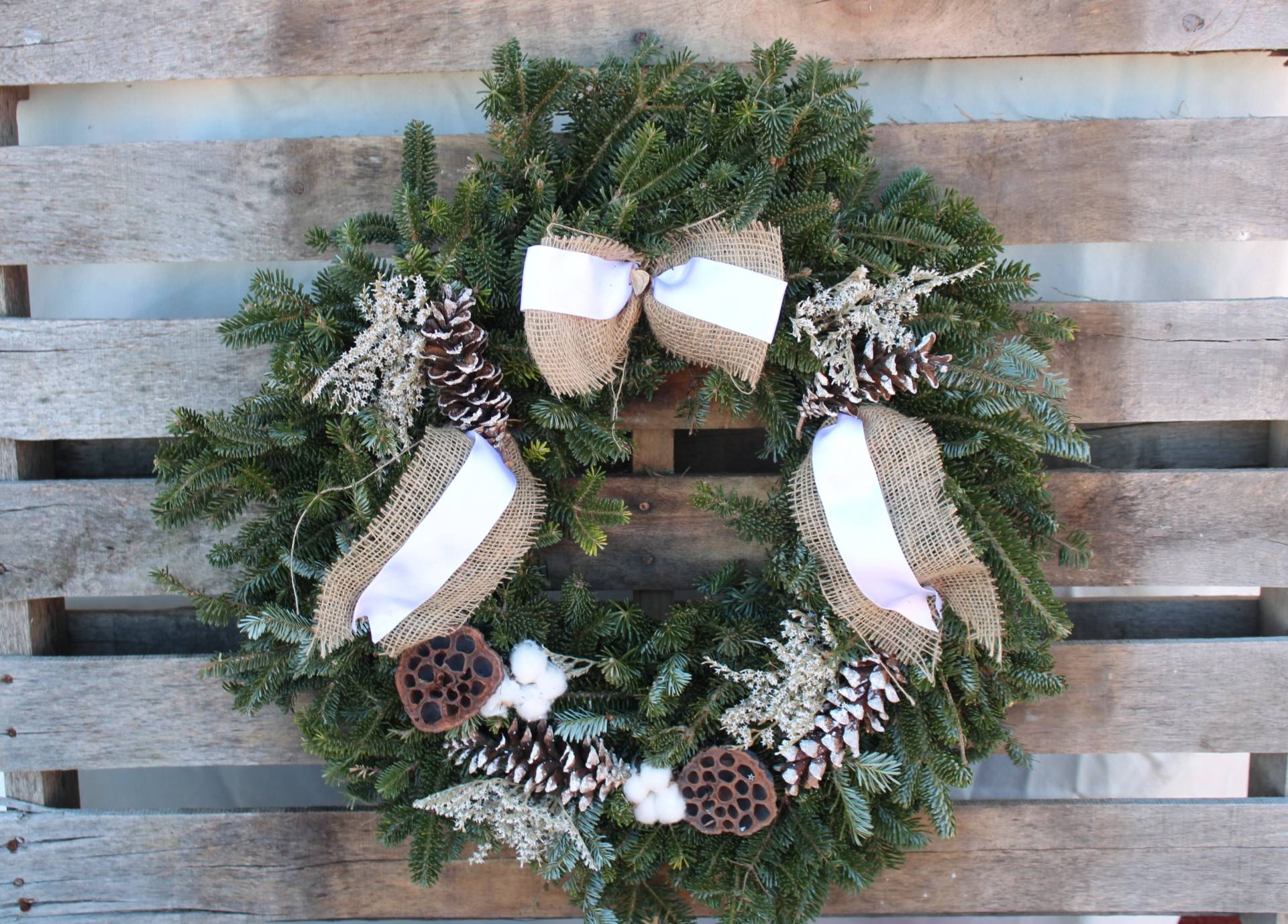 Festivals & Activities | Brecknock Orchard | Lancaster County PA