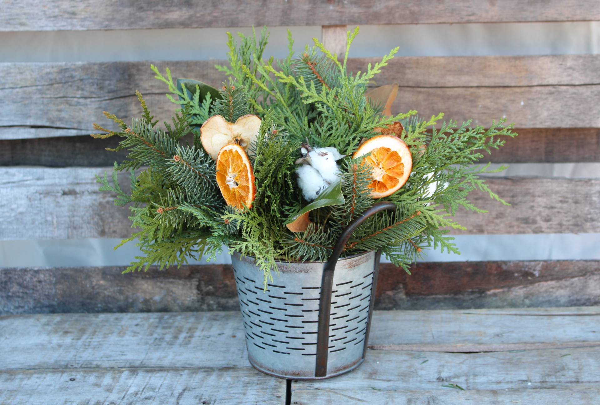 Festivals & Activities | Brecknock Orchard | Lancaster County PA