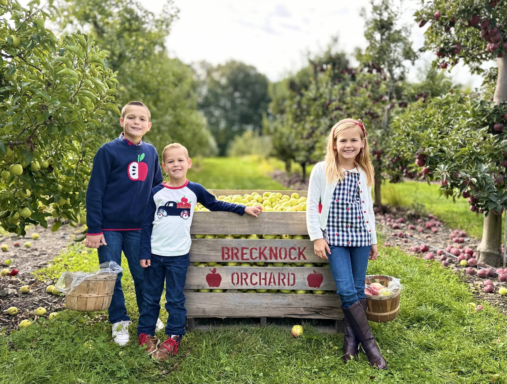 Contact Brecknock Orchard | Lancaster Berks County PA