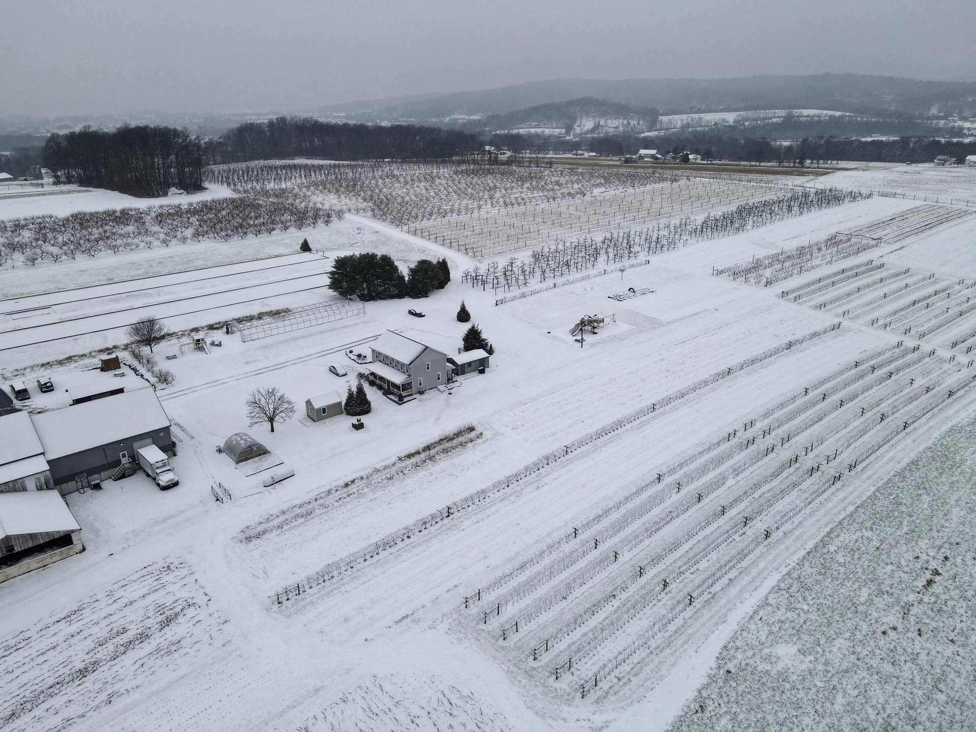 About Brecknock Orchards, Mohnton PA