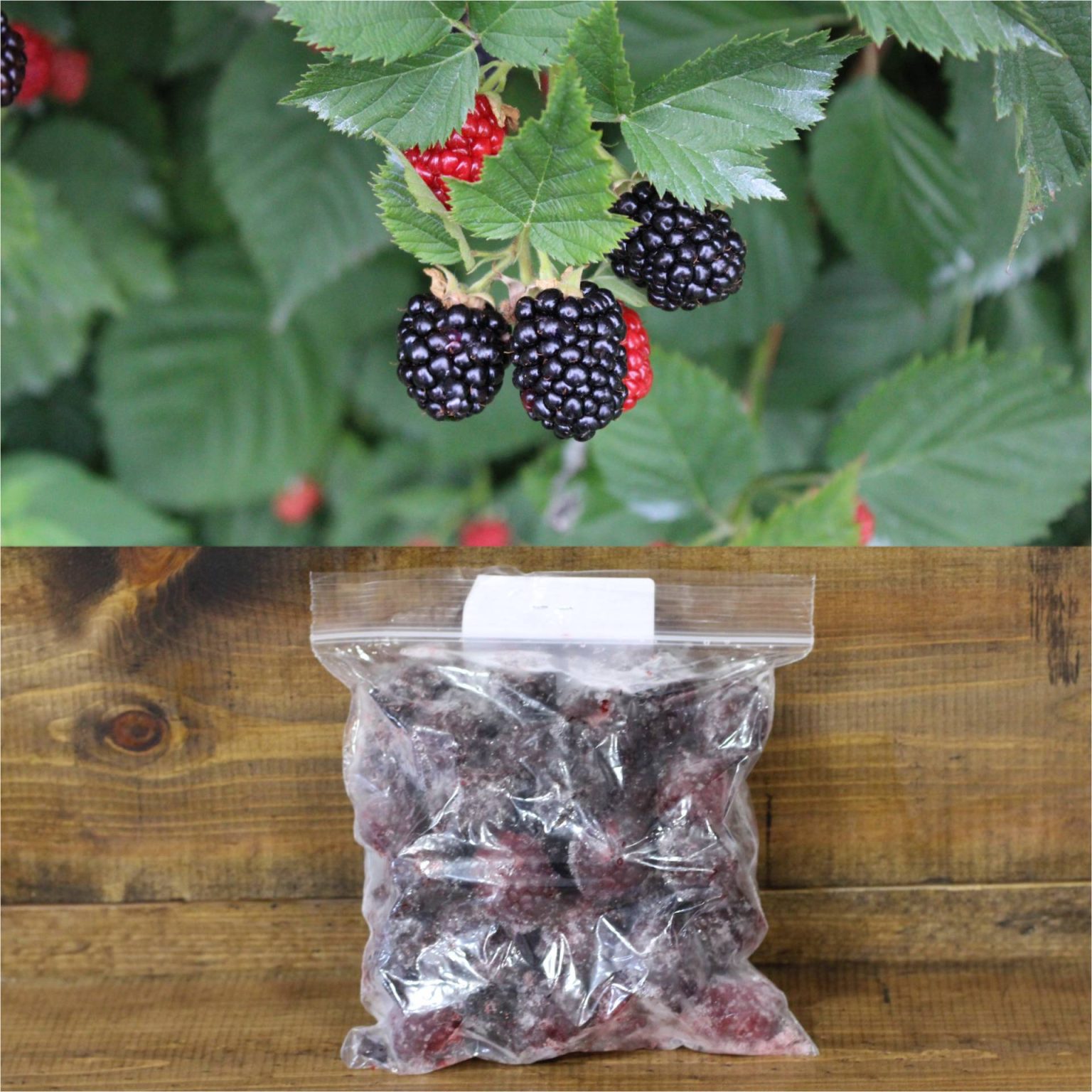 Frozen Black Raspberries - Brecknock Orchard LLC