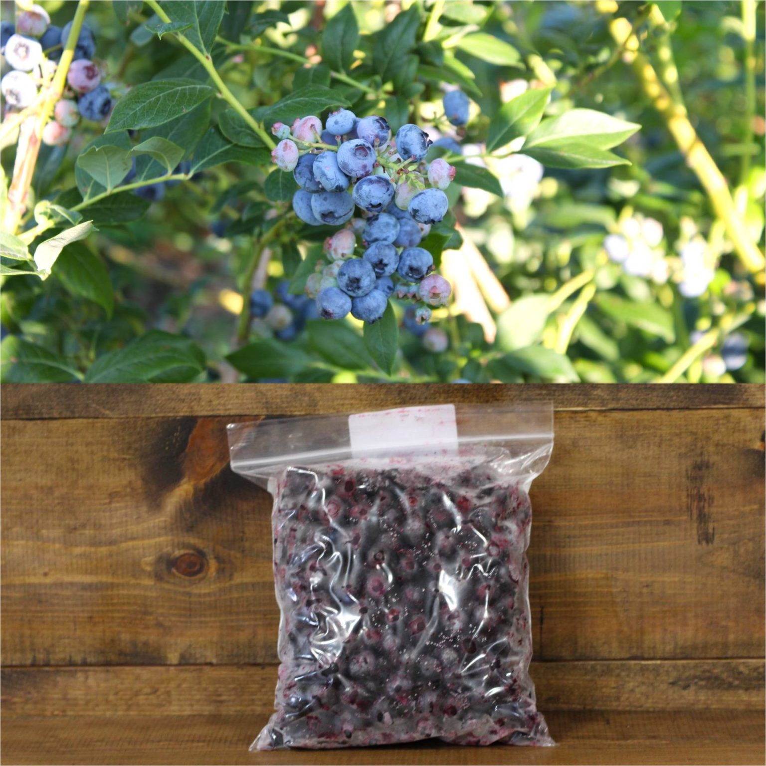 Frozen Black Raspberries - Brecknock Orchard LLC