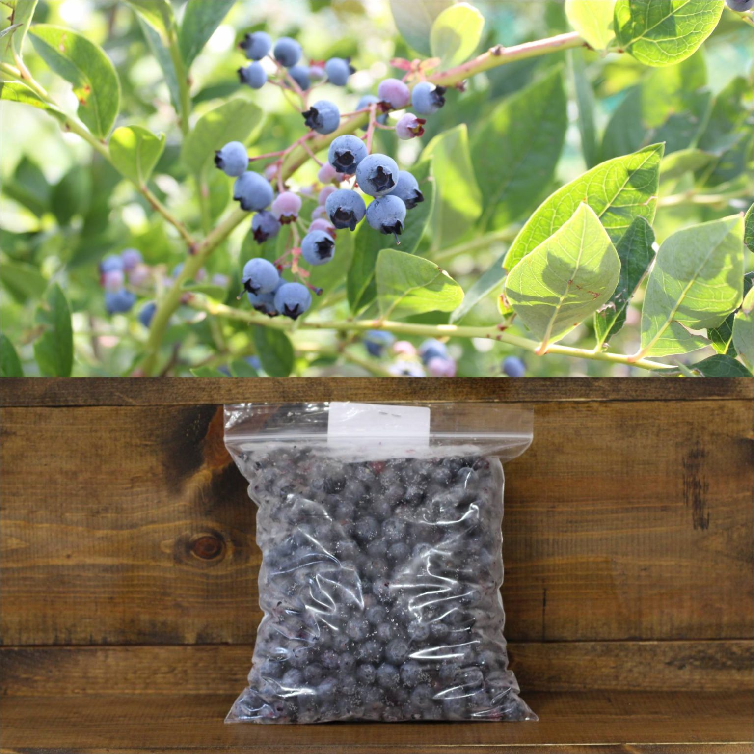 Frozen Black Raspberries - Brecknock Orchard LLC