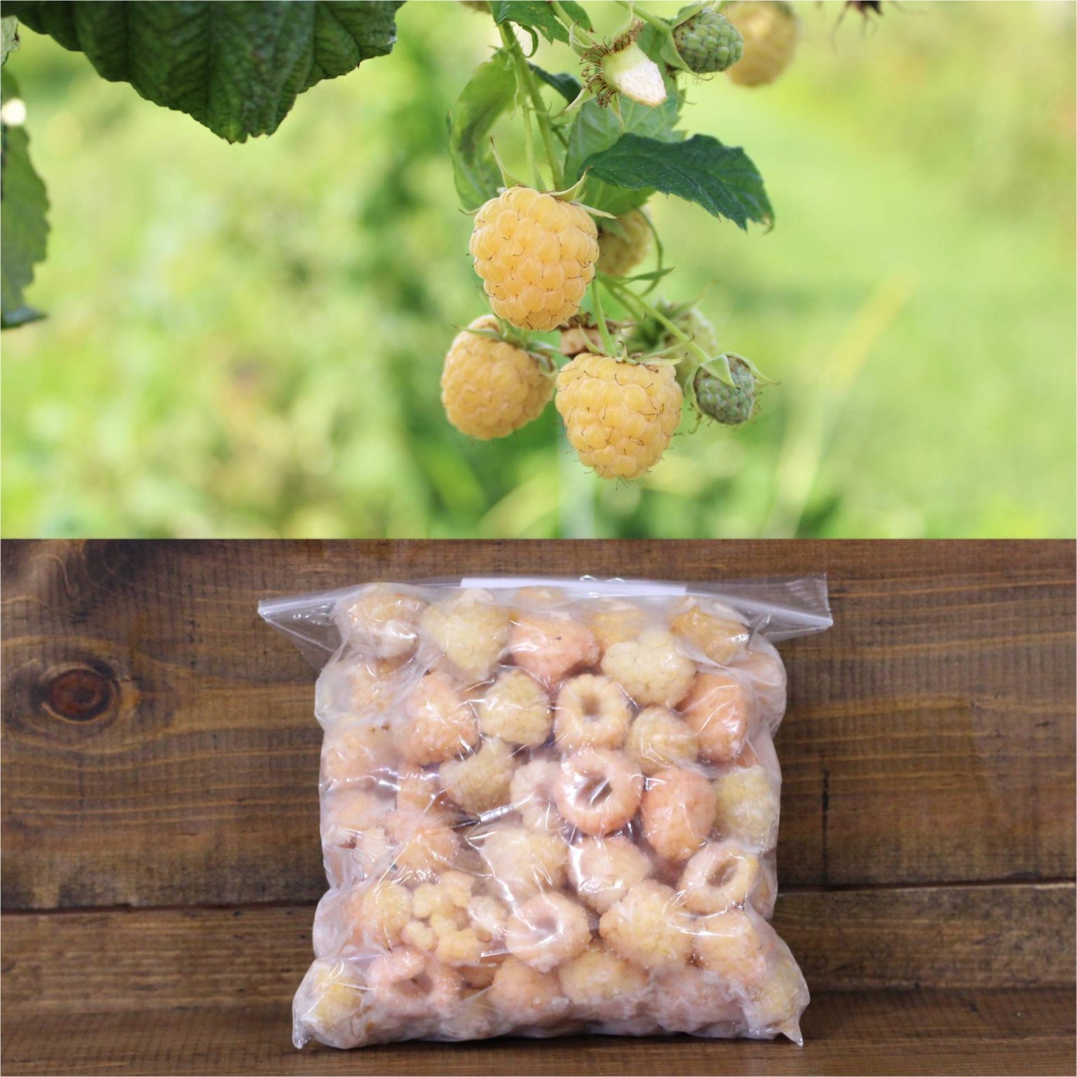 Frozen Black Raspberries - Brecknock Orchard LLC