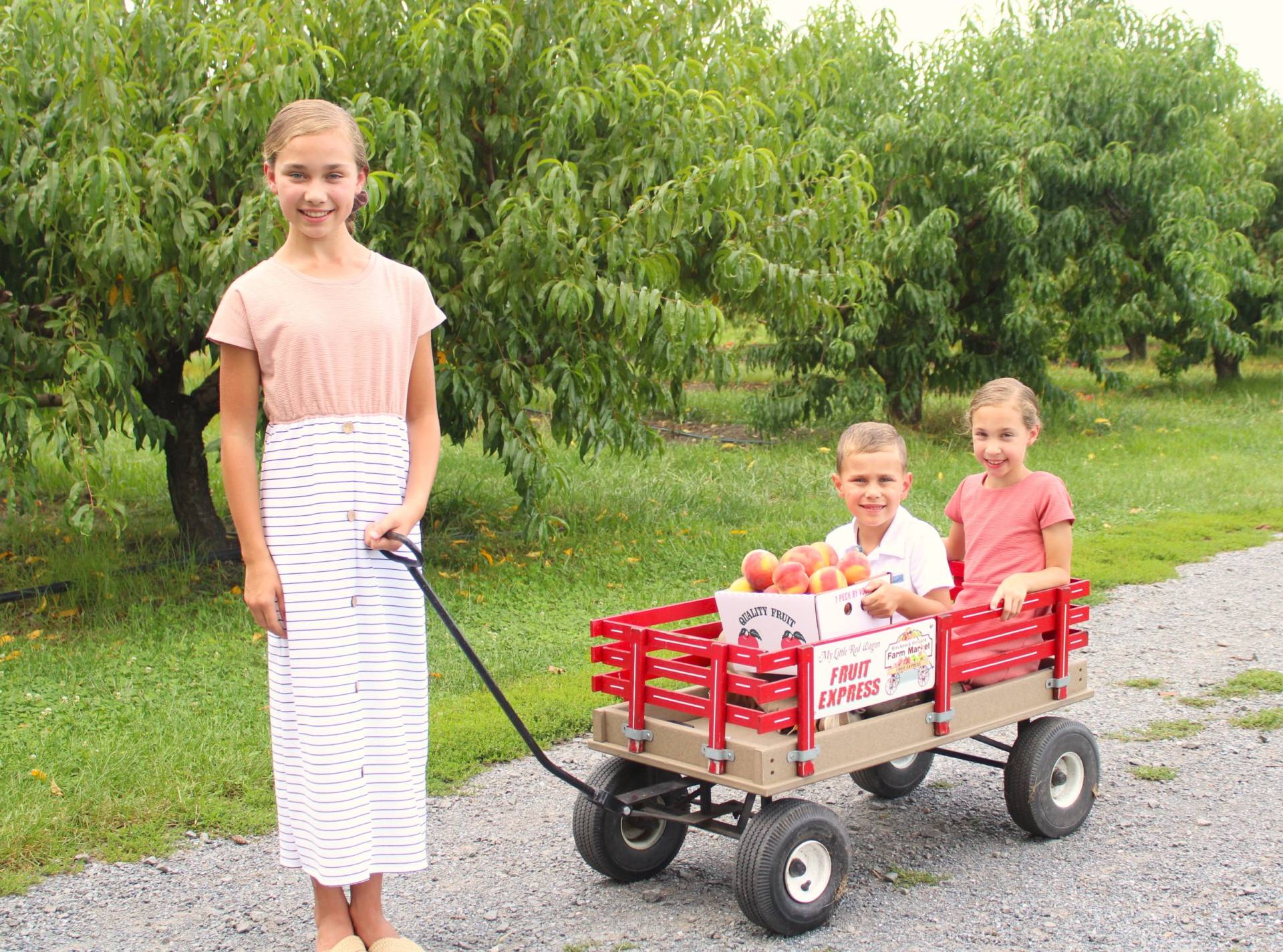 Festivals & Activities | Brecknock Orchard | Lancaster County PA