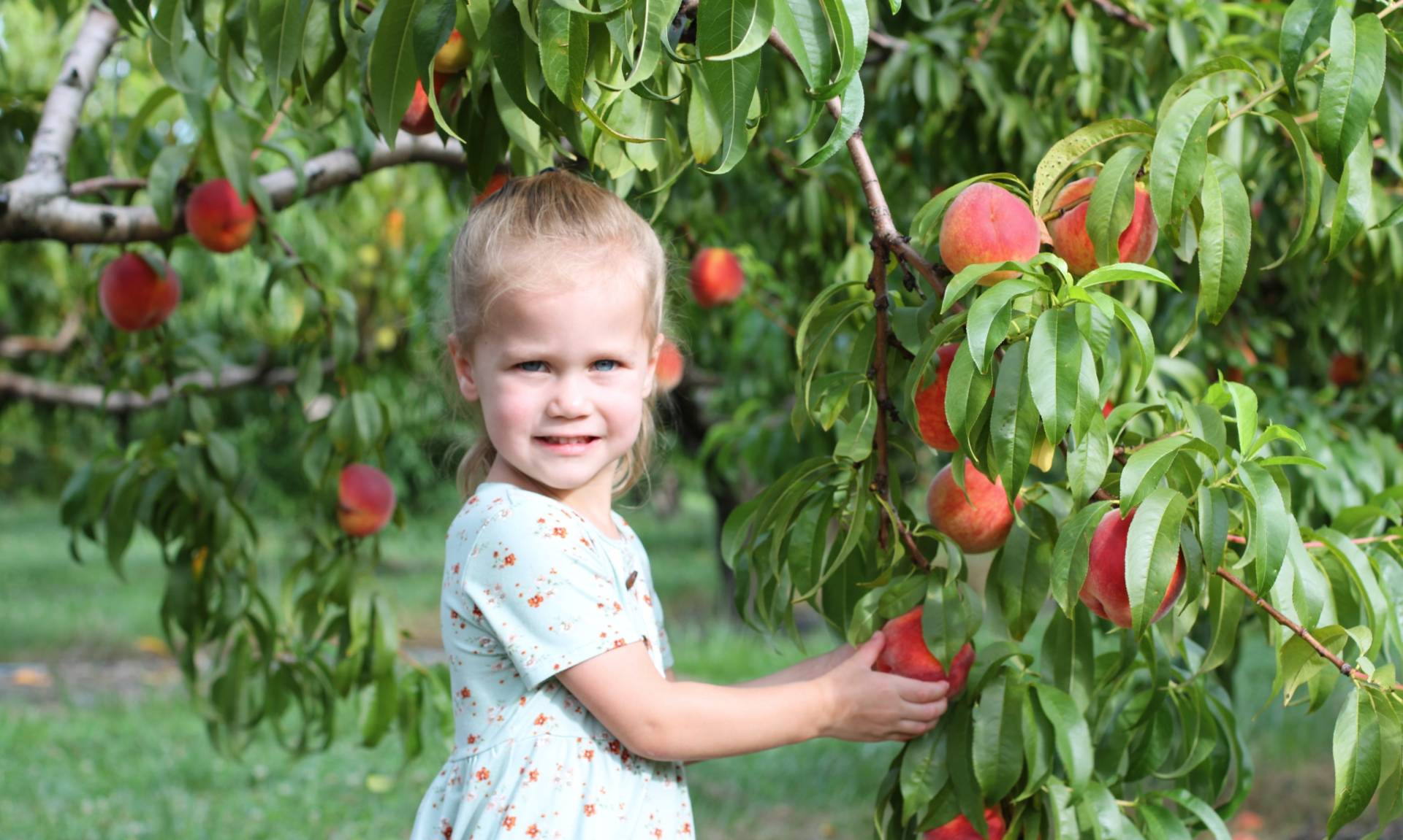 Fruit and Vegetable Picking | Pick Your Own Farm in Eastern Pennsylvania