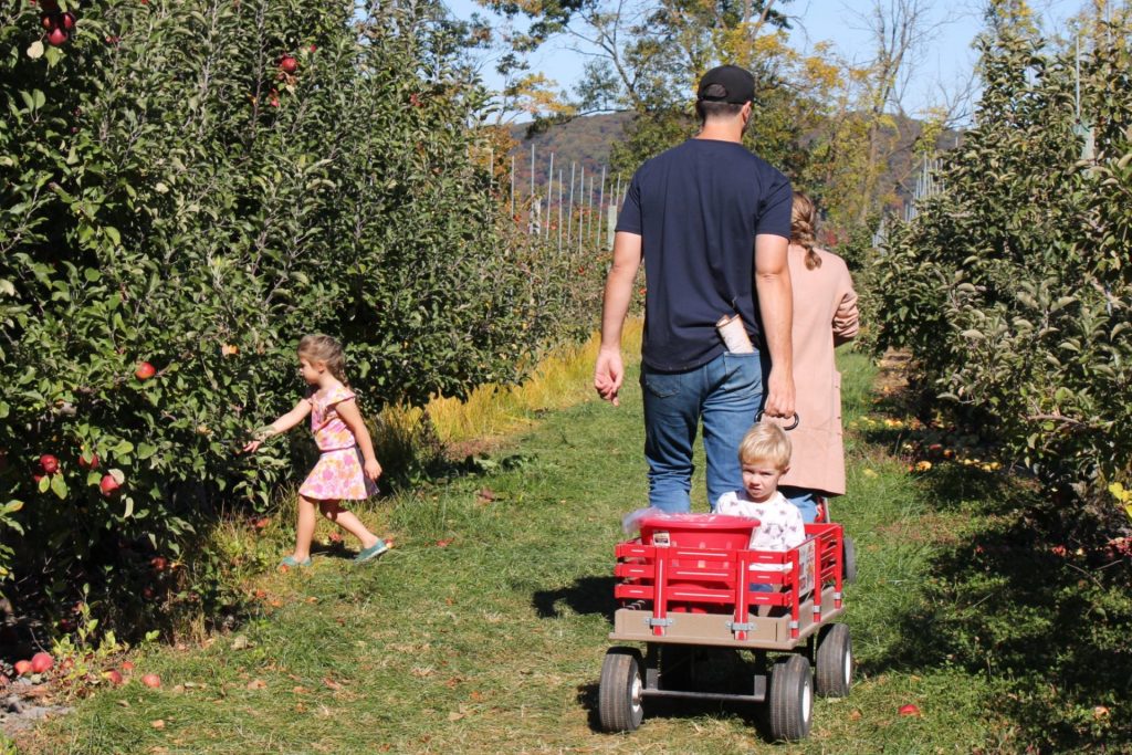 Festivals & Activities | Brecknock Orchard | Lancaster County PA